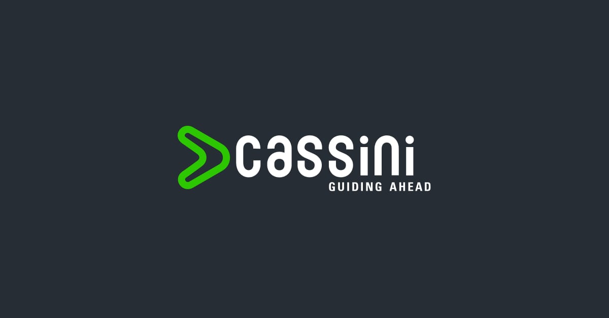 Cassini Consulting – die Management- und Technologieberatung